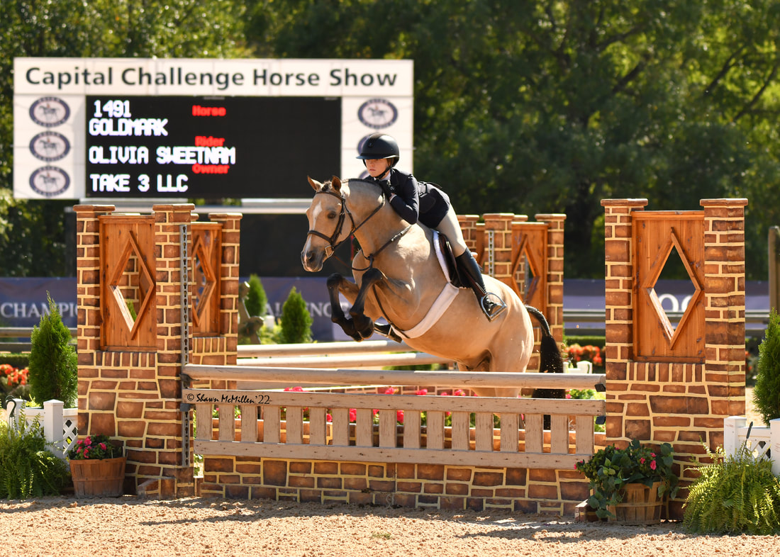 Sweetnam Rides Goldmark to Grand Pony Hunter Championship at Capital ...