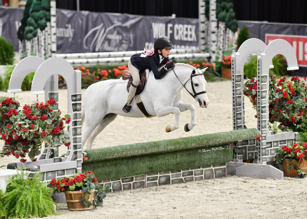 Sweetnam Rides Goldmark to Grand Pony Hunter Championship at Capital ...