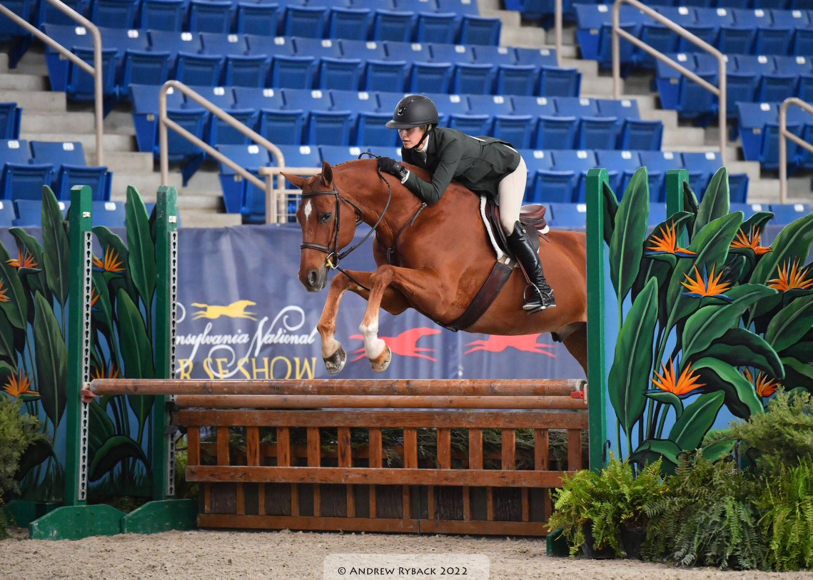 Laurie Barna Bests Competition to Emerge as Grand Champion Adult ...