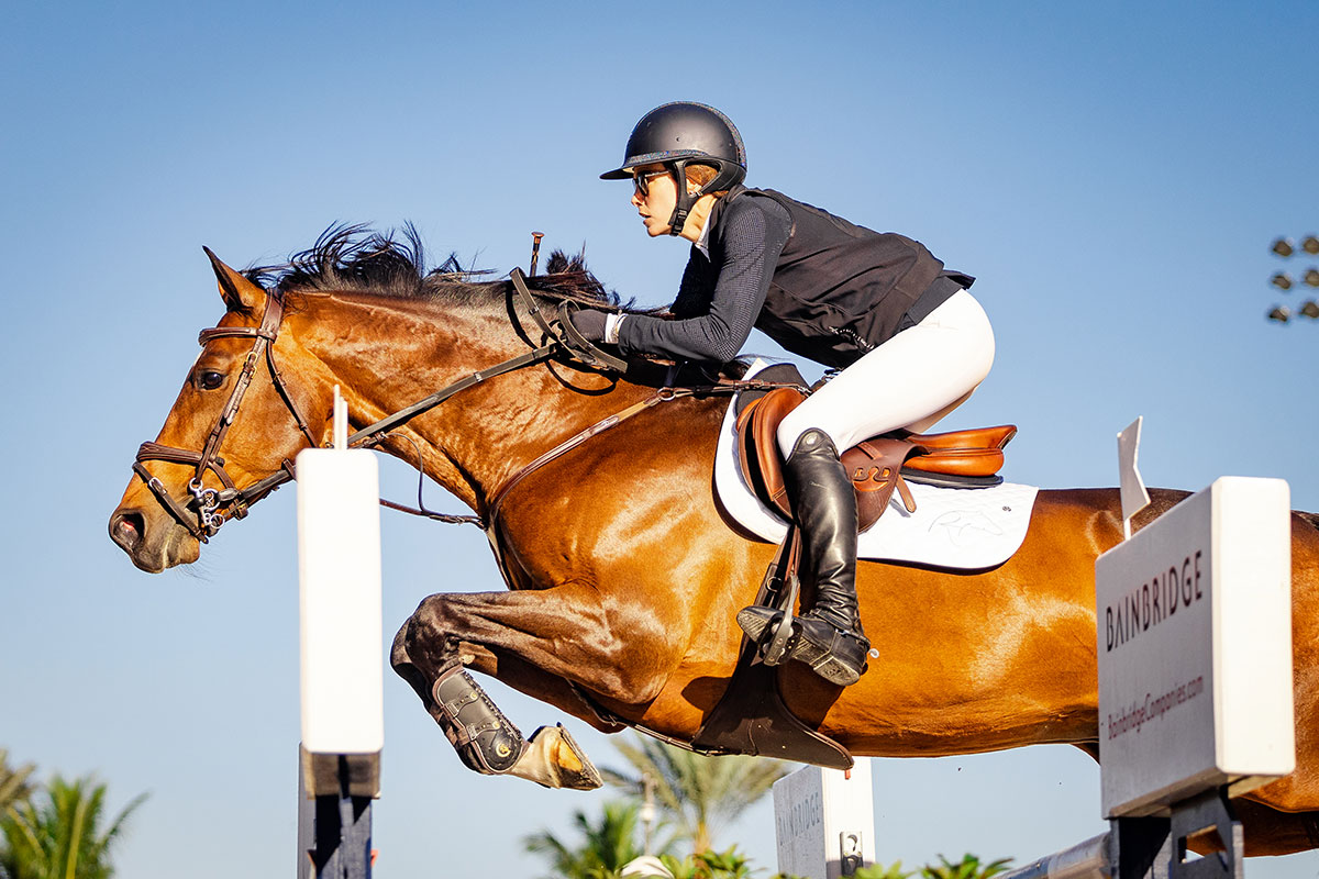 Overwhelmed with a New Horse? You’re Not Alone - The Plaid Horse Magazine