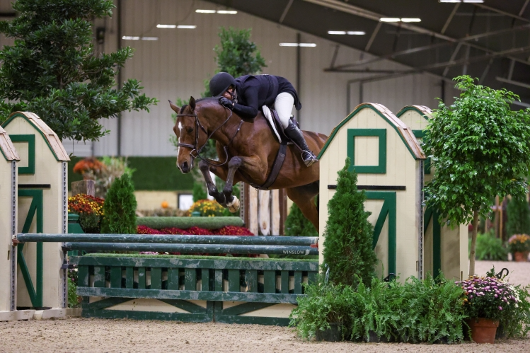 Provost, Goldberg Top USHJA National Hunter Derby Events at WEC ...