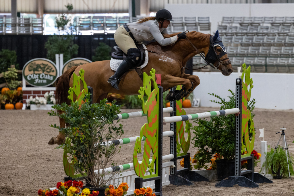 Happy Comly and Derby CSH Dash to Victory in Welcome Stake at Great ...