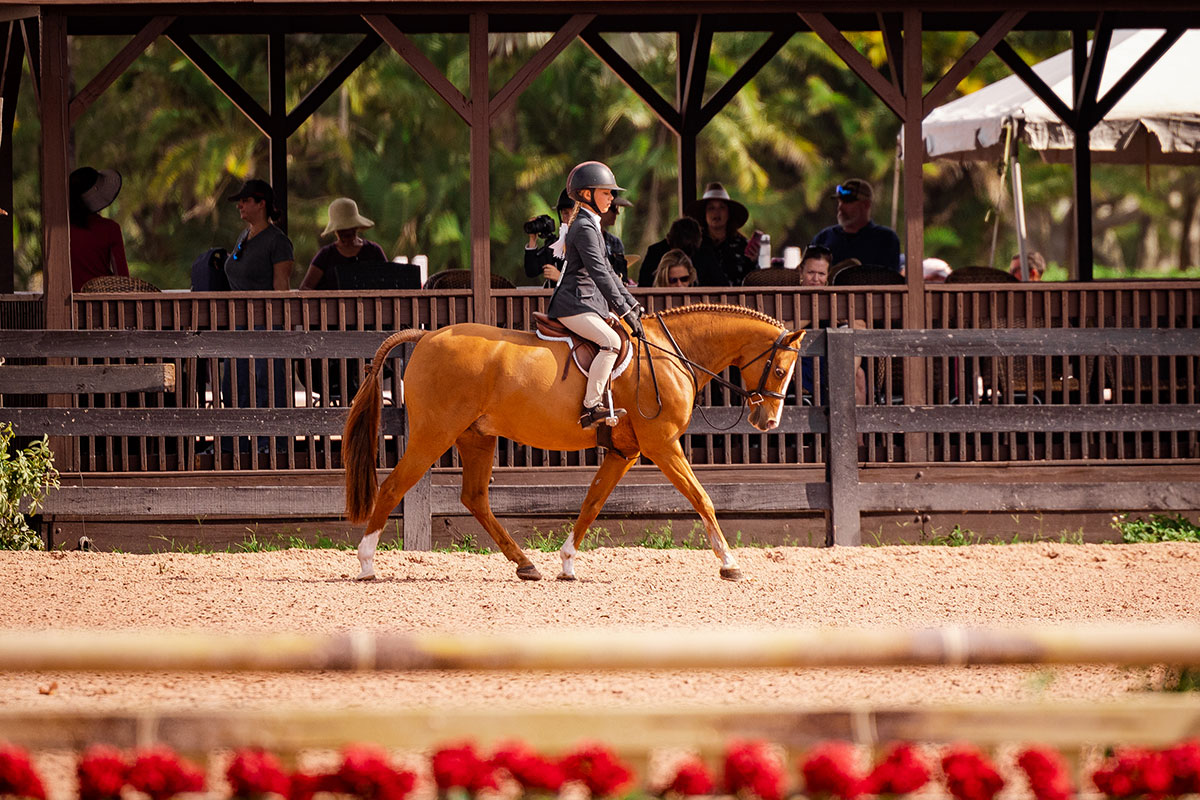 Horse Shows are a Big Bowl of Life Lessons - The Plaid Horse Magazine