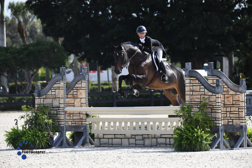 Taylor Cawley and Kilkenny Secure Victory in SHJA National Hunter Derby ...