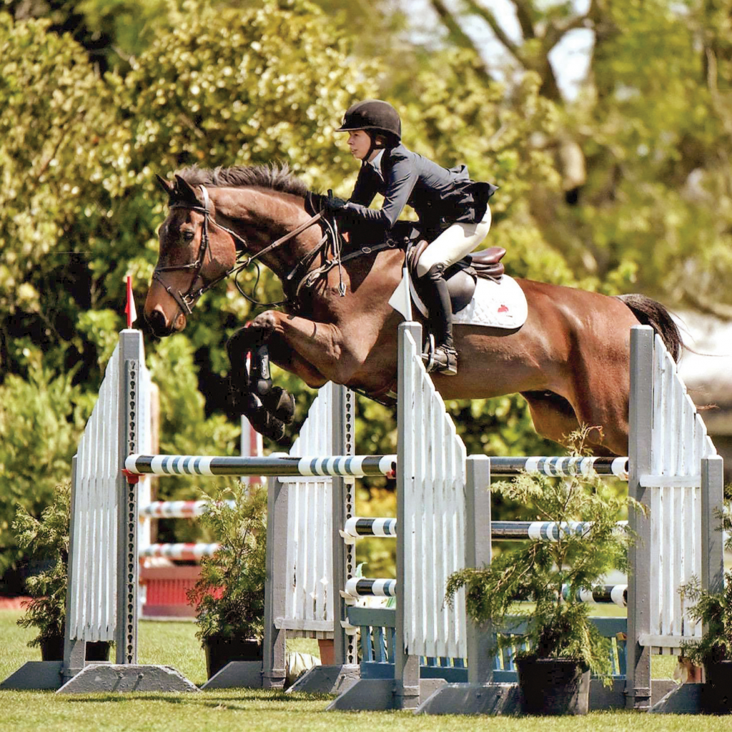 Get to Know the Equine Mastery Education System - The Plaid Horse Magazine
