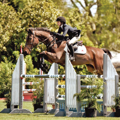 Get to Know the Equine Mastery Education System - The Plaid Horse Magazine