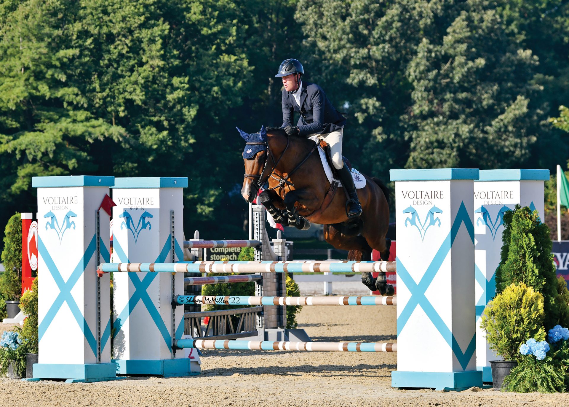 American Bred Motueka: An Awkward Start and a Grand Prix Future - The ...