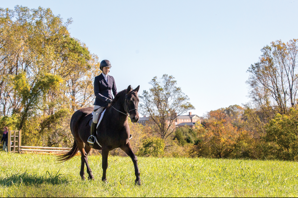 Sweet Briar College: 100 Years of Equestrian Women - The Plaid Horse ...