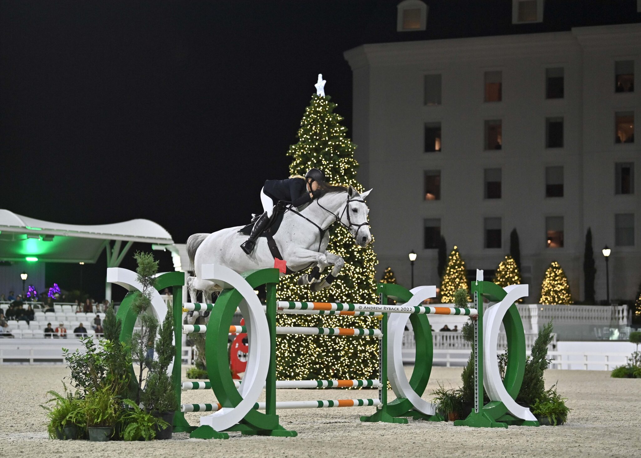 Tracy Fenney and MTM Apple Jump to Victory in $100,000 Hampton Green ...