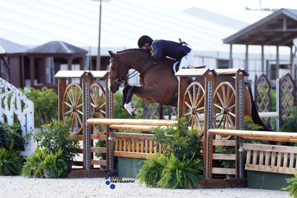 John French and Wyatt Place Top Score in the USHJA National Hunter ...