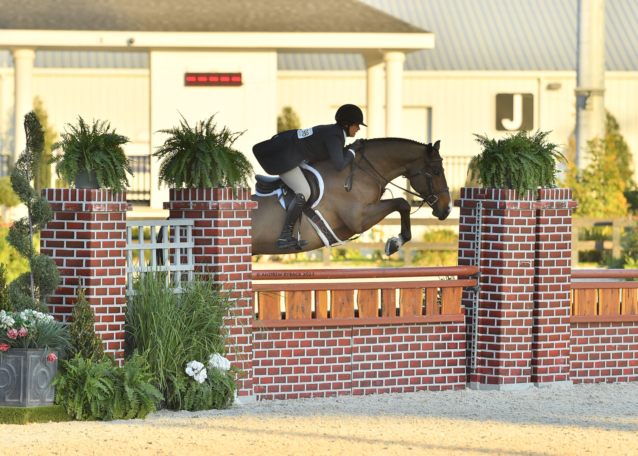 Amanda Steege and Lafitte de Muze Land WEC 3'6"-3'9" Hunter Derby at ...