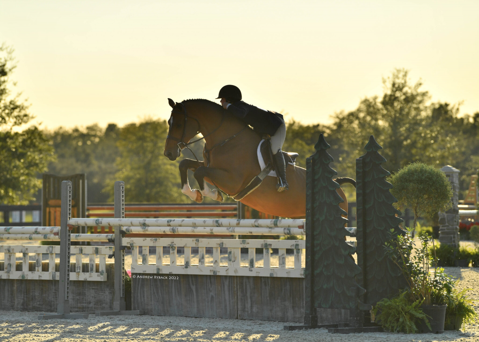 Protecting the Performance Horse from the Inside Out: How Nick Haness ...