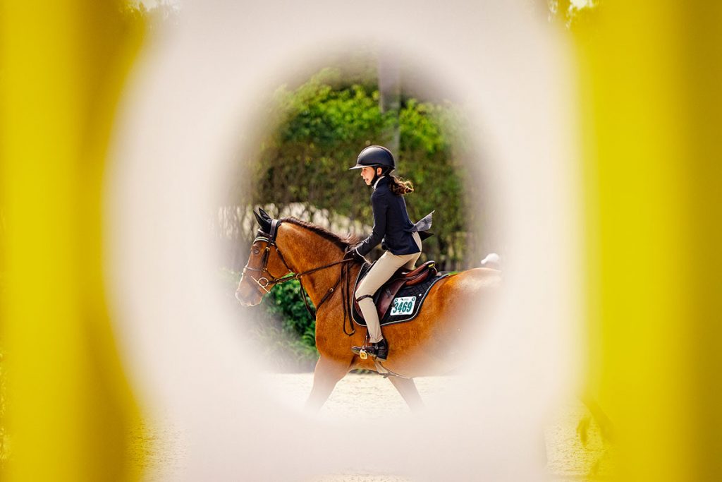 Internet Shopping for Horses 101 - The Plaid Horse Magazine