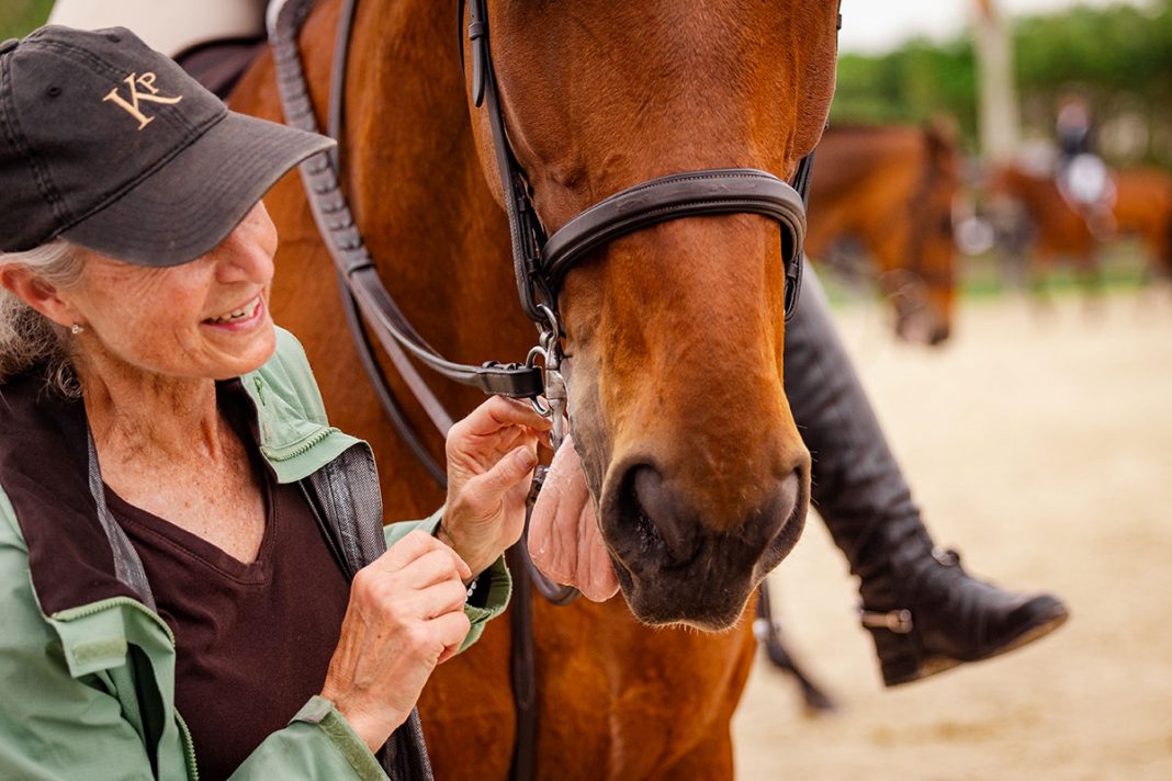 Internet Shopping for Horses 101 - The Plaid Horse Magazine