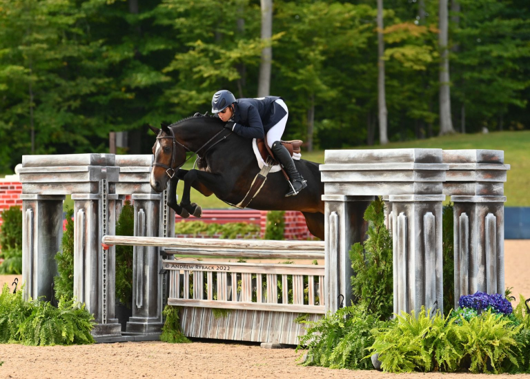 Protecting the Performance Horse from the Inside Out: How Nick Haness ...