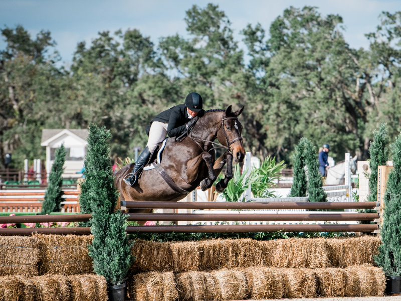 Jennifer Alfano and Next Victorious in USHJA International Hunter Derby ...