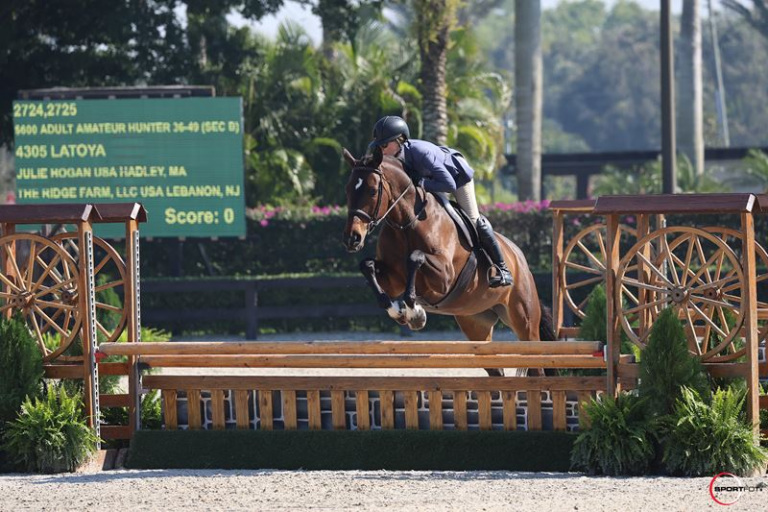 Julie Hogan Takes Adult Amateur Hunter Tri-Color at WEF 1 - The Plaid ...