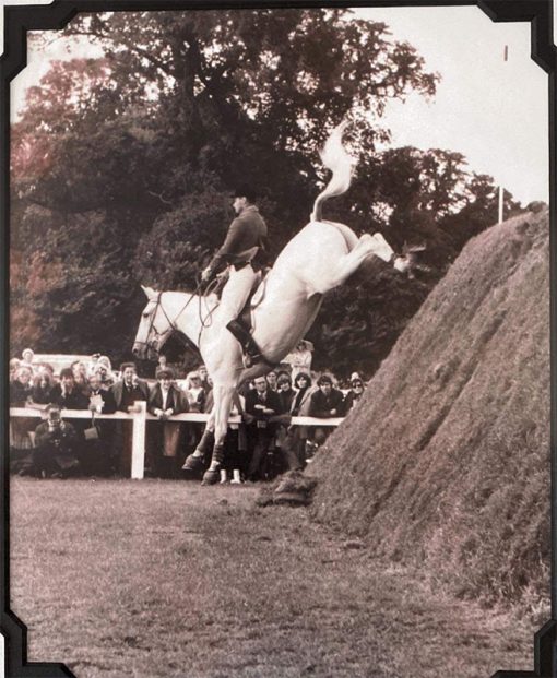 Neal Shapiro: Aim High - Part II - The Plaid Horse Magazine