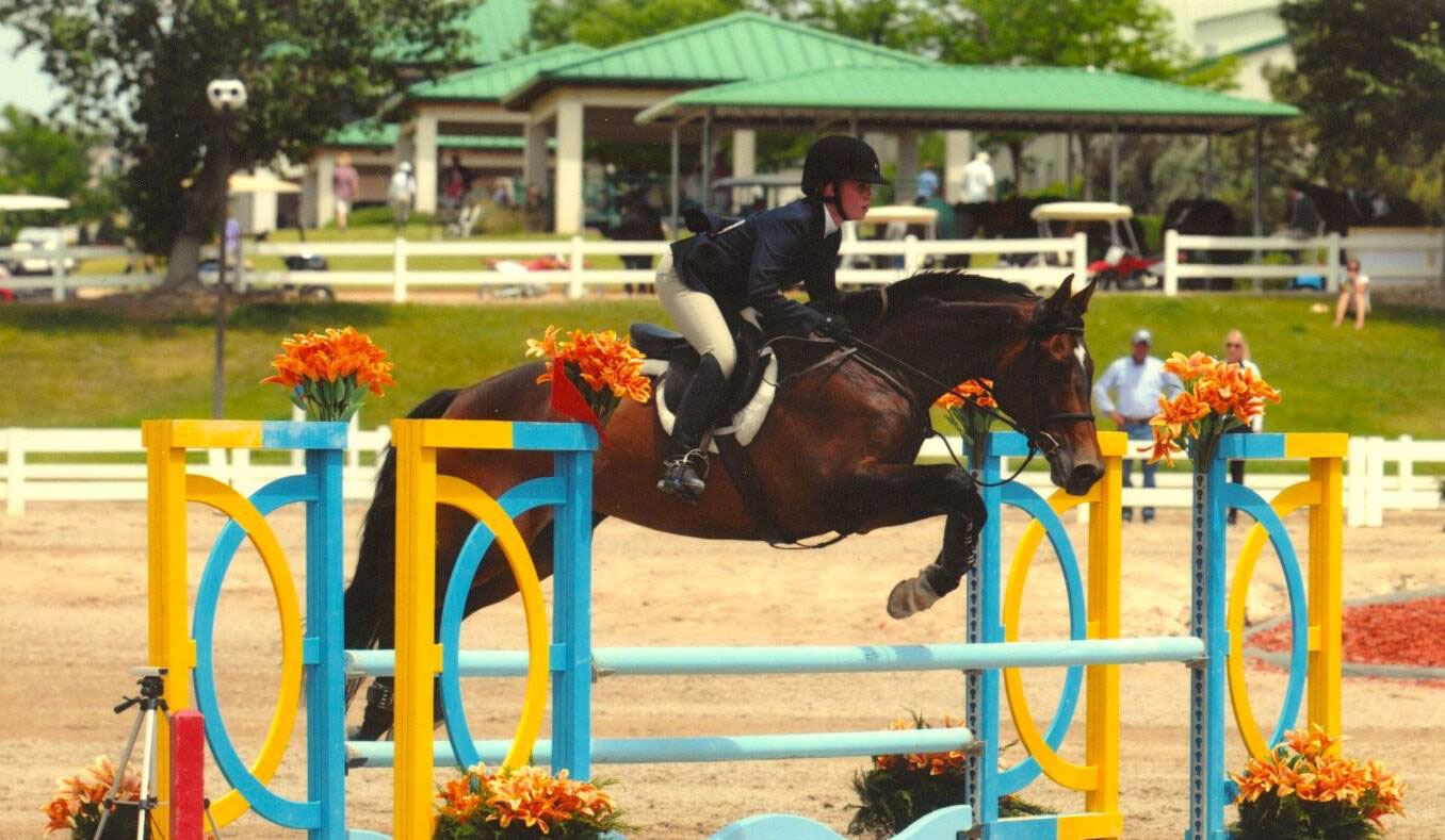 The Beauty of the Golden Years: Celebrating Our Senior Horses - The ...