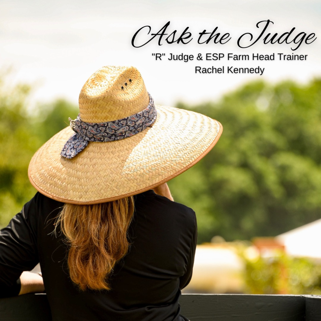 Ask the Judge: Rachel Kennedy - The Plaid Horse Magazine