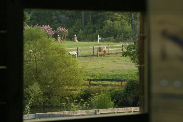 Showing Love to the Barns That Built Us - The Plaid Horse Magazine