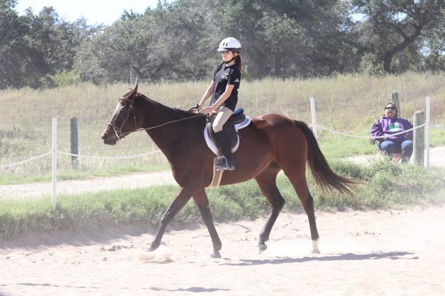 An Ode to Lesson Horses - The Plaid Horse Magazine