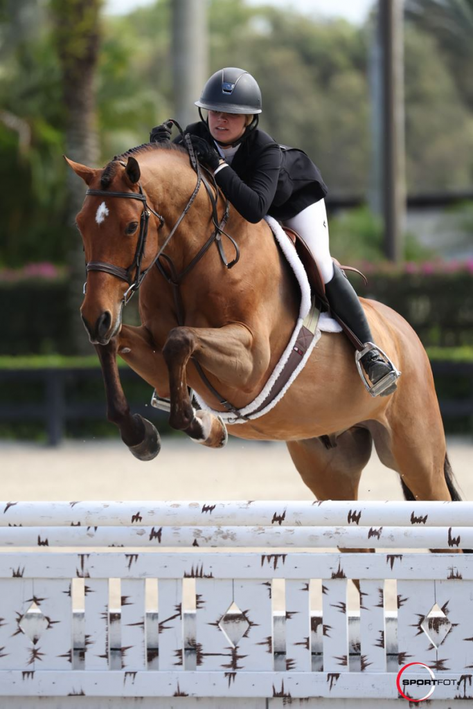 Parker Peacock’s Jumper Turned Hunter Takes First Tricolor in Small ...