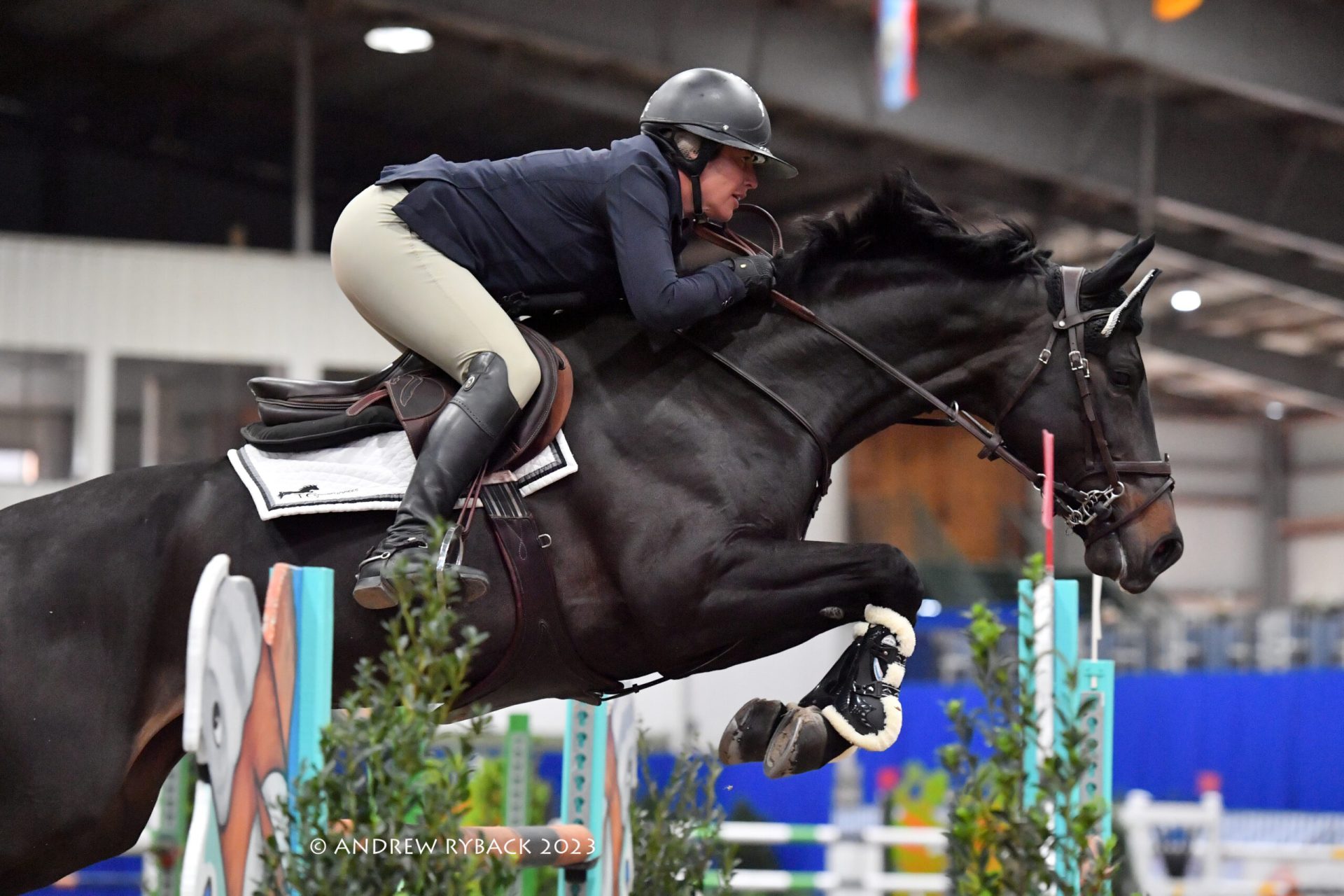 Allison Kroff Kicks Off Pin Oak Charity Horse Show With a Win in ...
