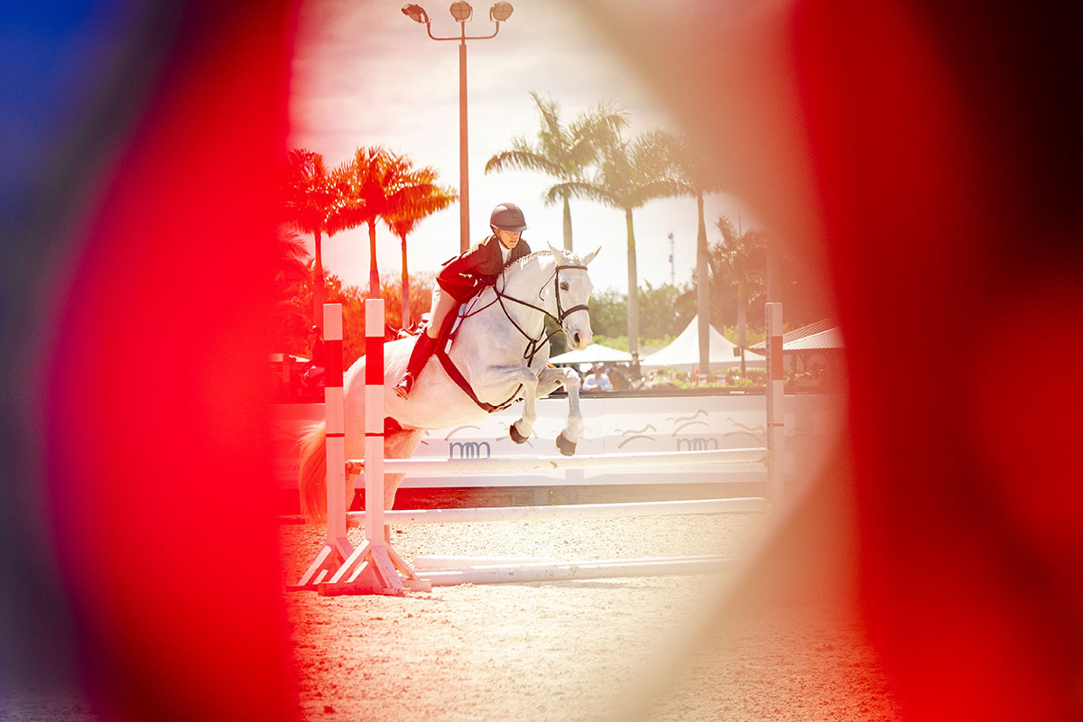 We Asked Artificial Intelligence About Horse Riding, Training, and ...