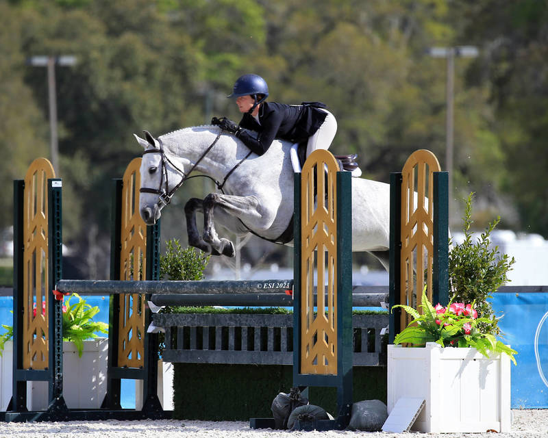 Ashley Foster and Charismatic Chime Collect Green 3’6” Hunter ...