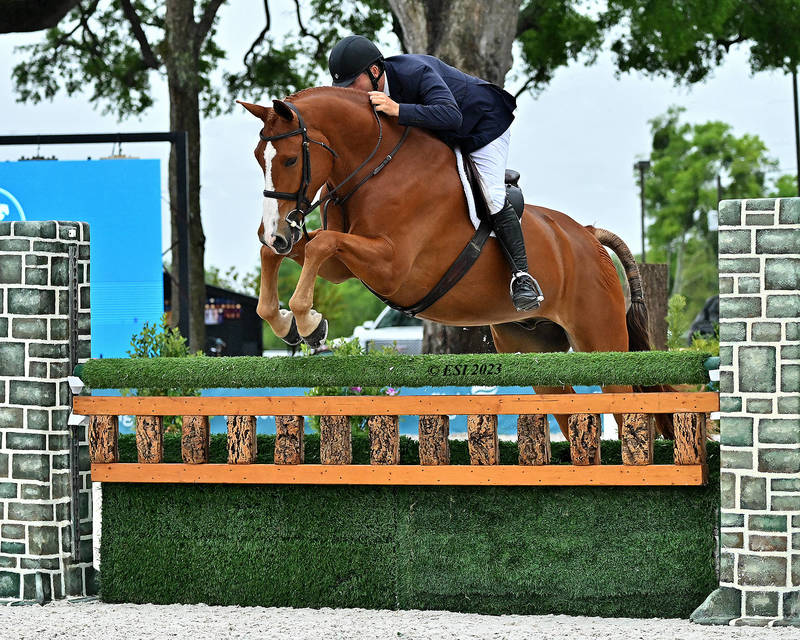 Daniel Geitner and Mr. Manhattan are Marvelous in $50,000 USHJA ...