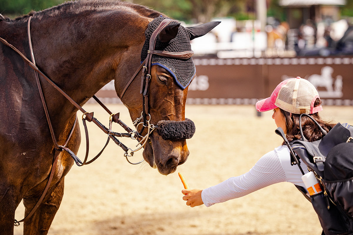 5 Ways to be Less Stressed at Horse Shows - The Plaid Horse Magazine