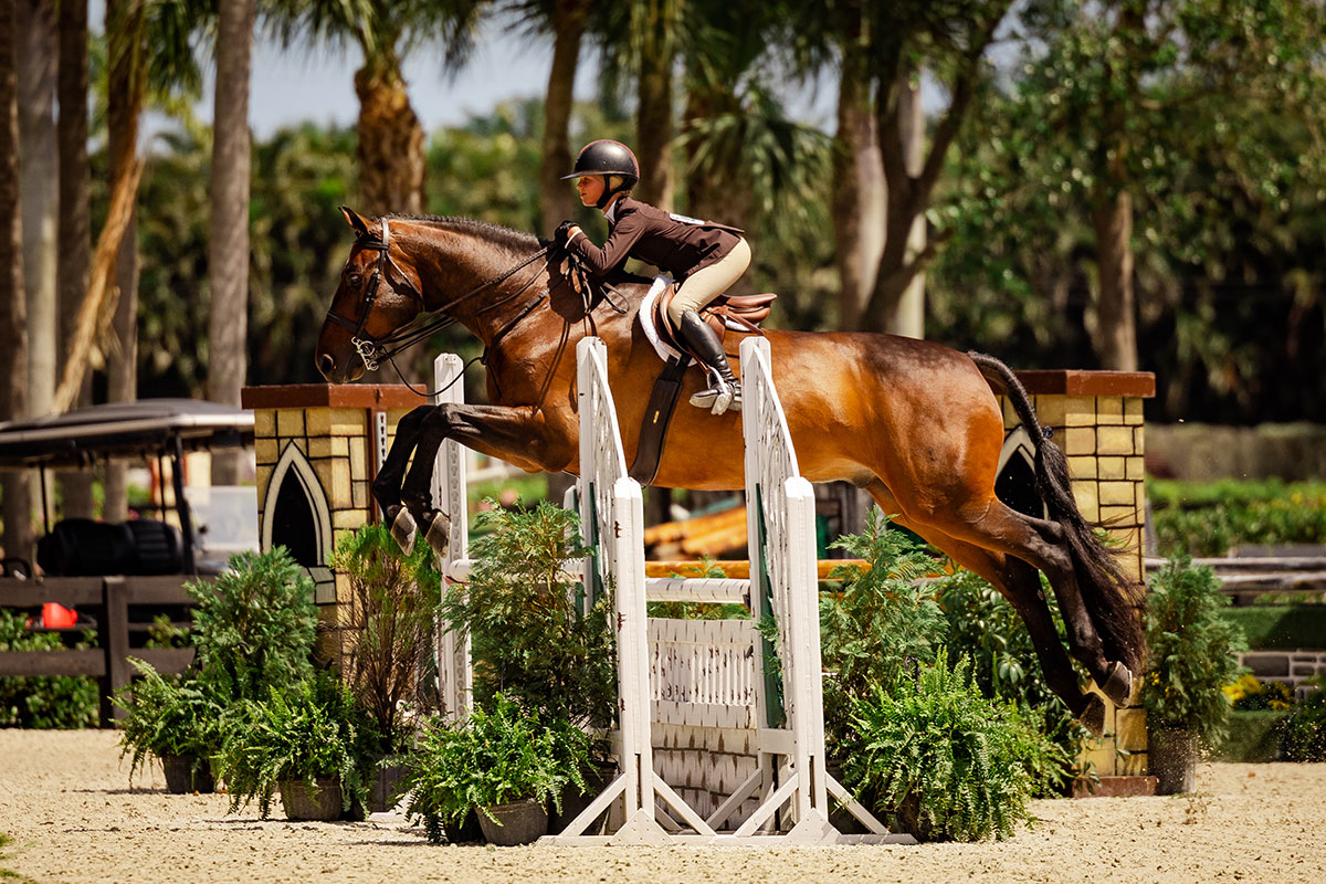 5 Ways to be Less Stressed at Horse Shows - The Plaid Horse Magazine
