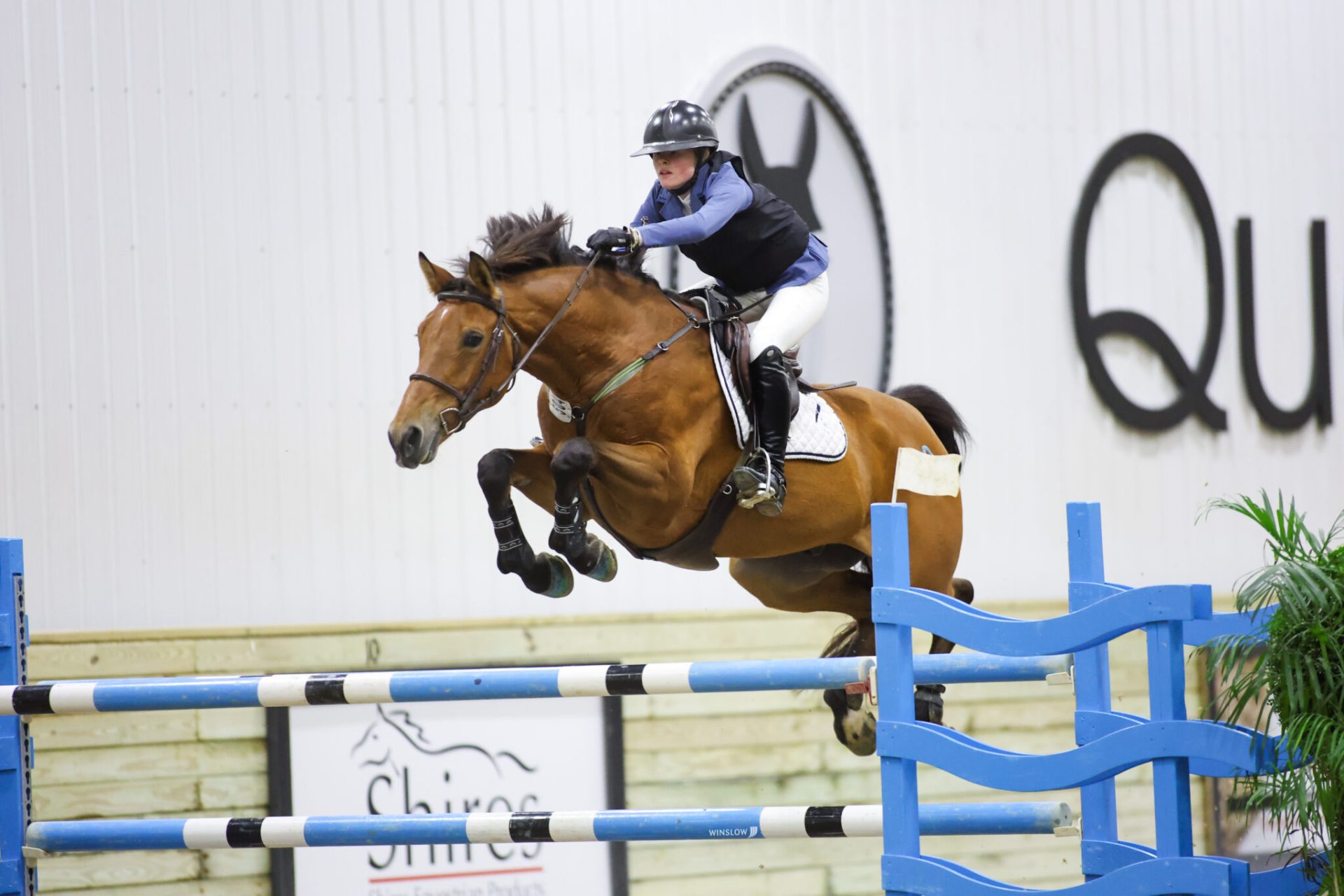 Izzy Beisel and Diaz Barbotiere Speed to Grand Prix Win at WEC Ohio Winter Classic - The Plaid ...