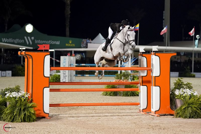 Sheer Levitin Surpasses Goals in Hermès U25 Semi-Final Grand Prix at WEF 8 - The Plaid Horse ...