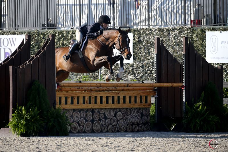 Stephanie Danhakl Sweeps Weather or Not Equestrian 3’6” Amateur-Owner ...
