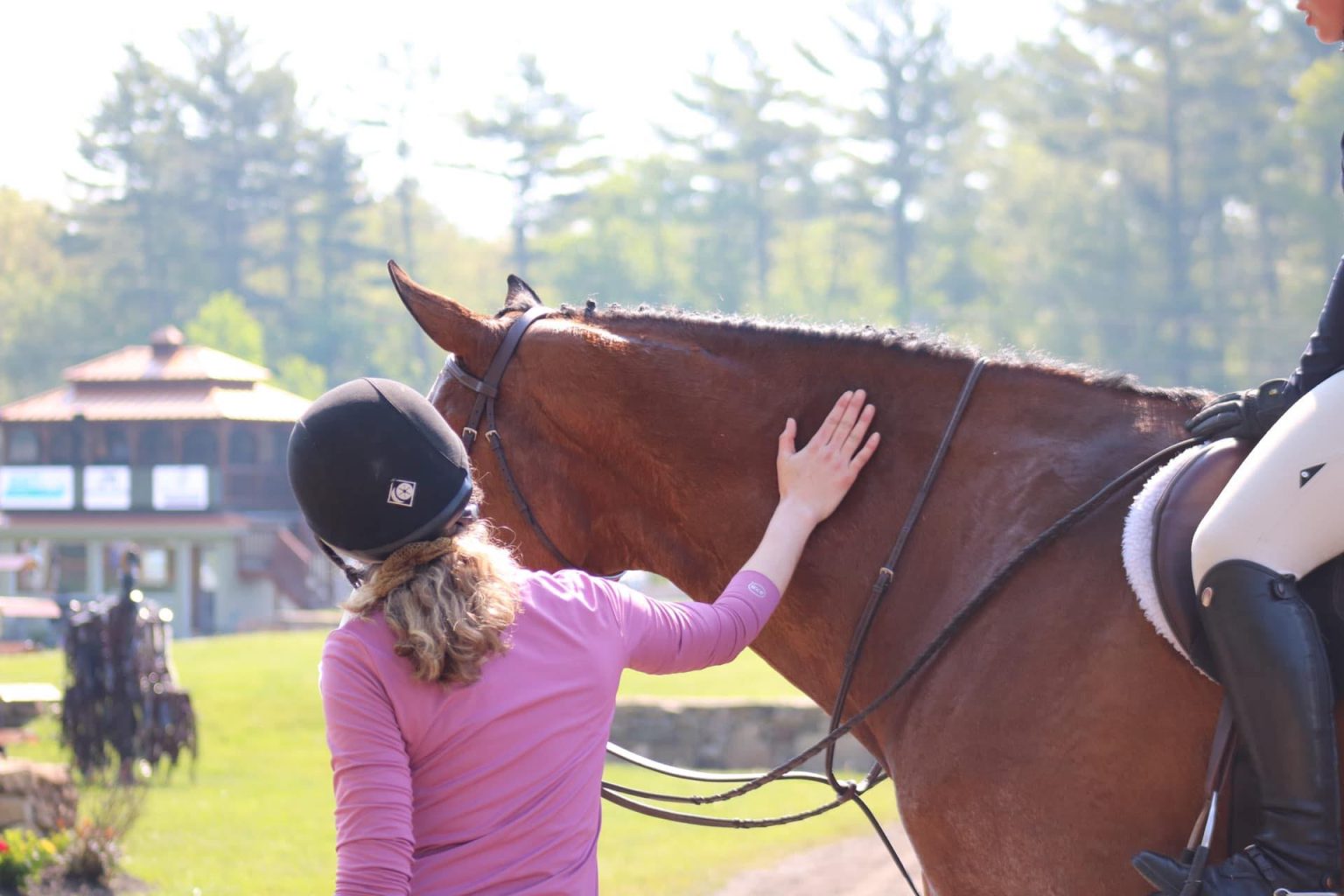 New Group for Equine Professionals Created by The Plaid Horse - The ...