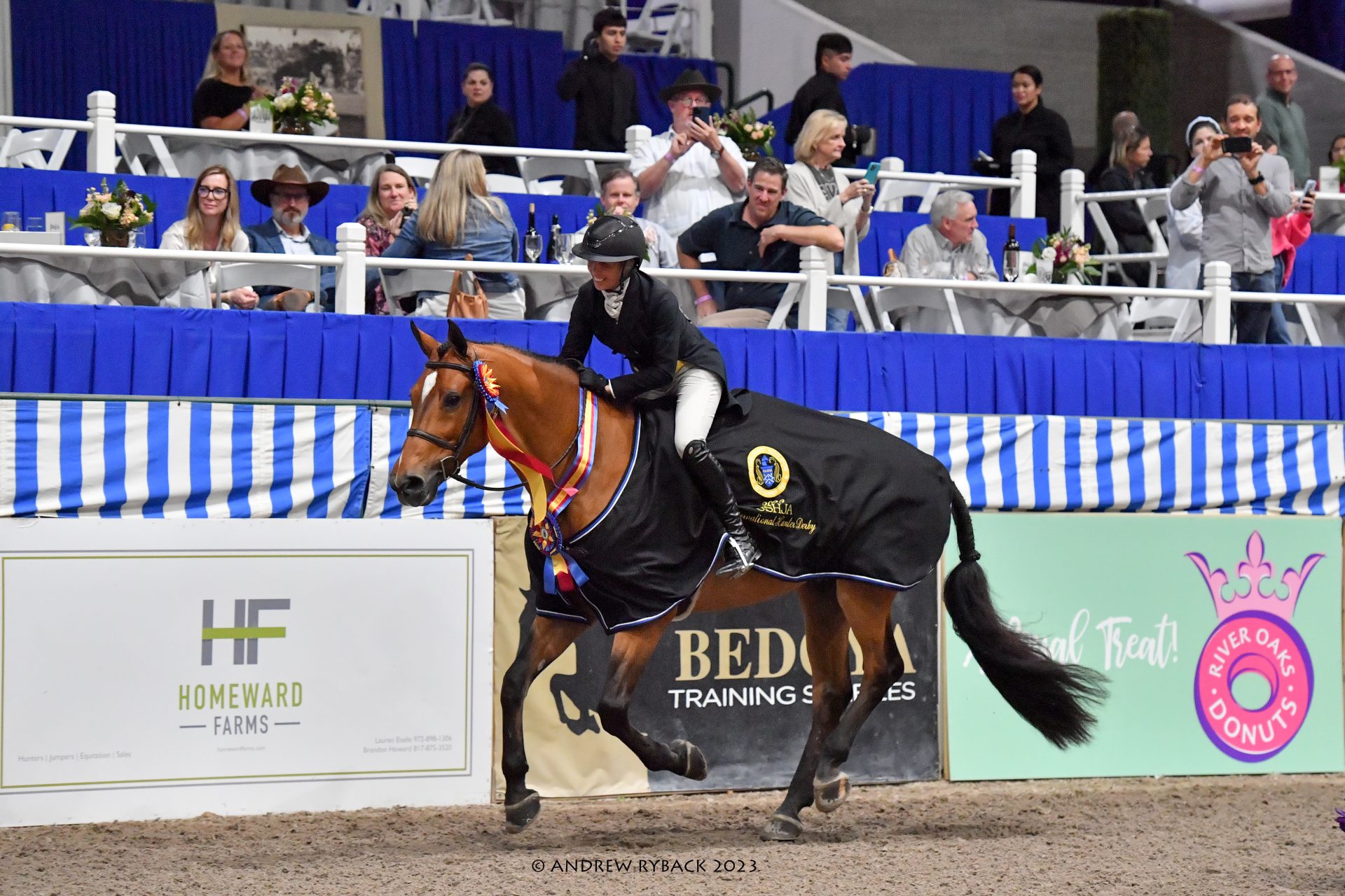 Courtney Lenkart and Glorieus Make Glorious Return to USHJA ...