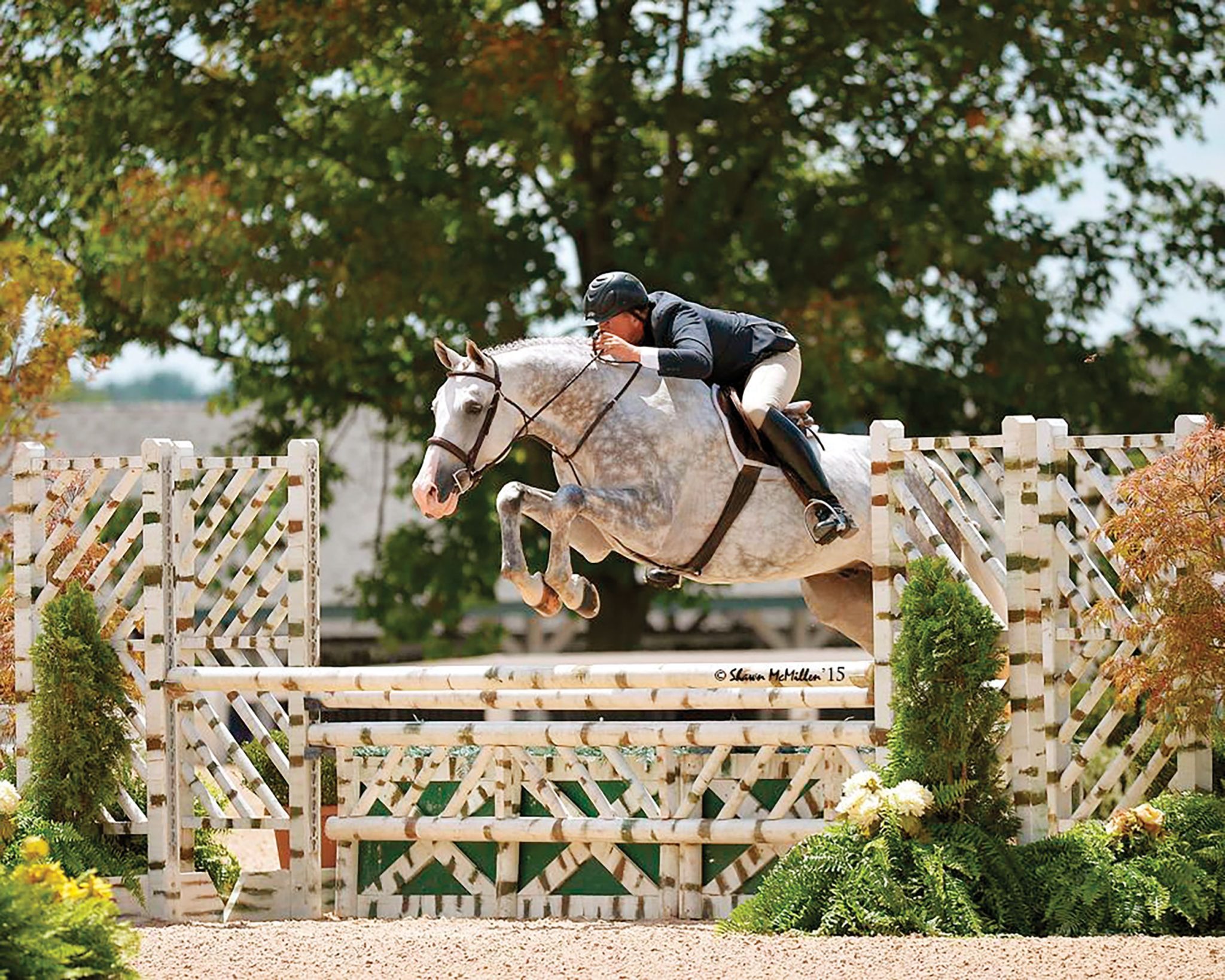 How Do Course Designers Prepare for Their Assignments? - The Plaid ...