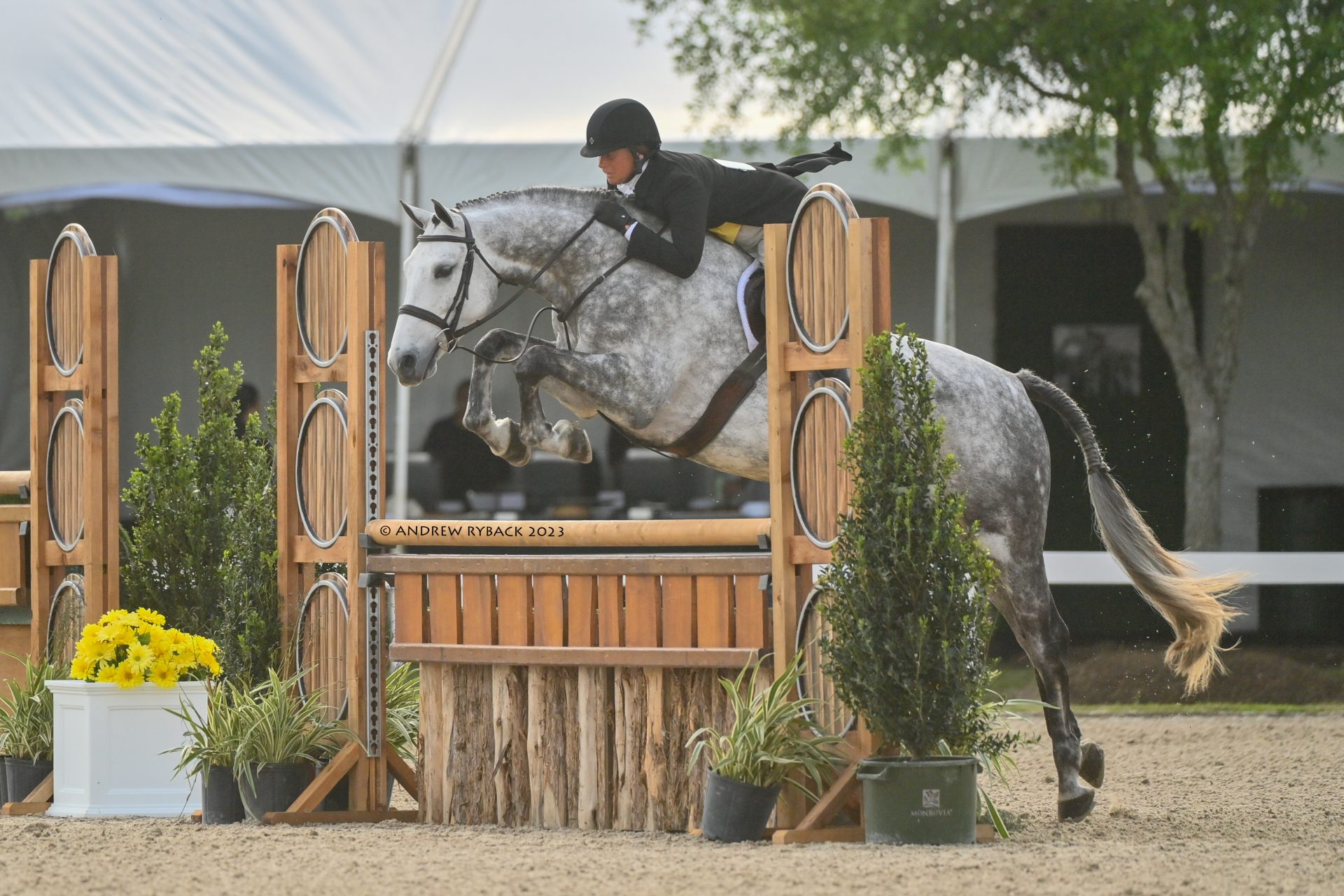 Nada Wise and Mindy Coretz Claim Hunter Derby Victories at Pin Oak ...