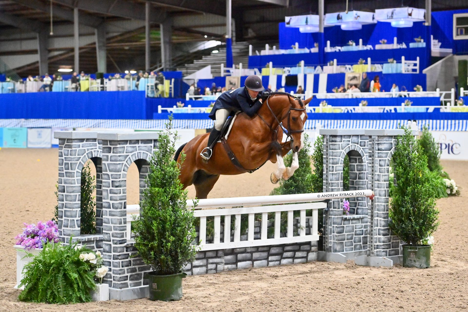 Kelly Lorek and MTM Campedu Claim $25,000 Hunter Classic Victory at Pin ...