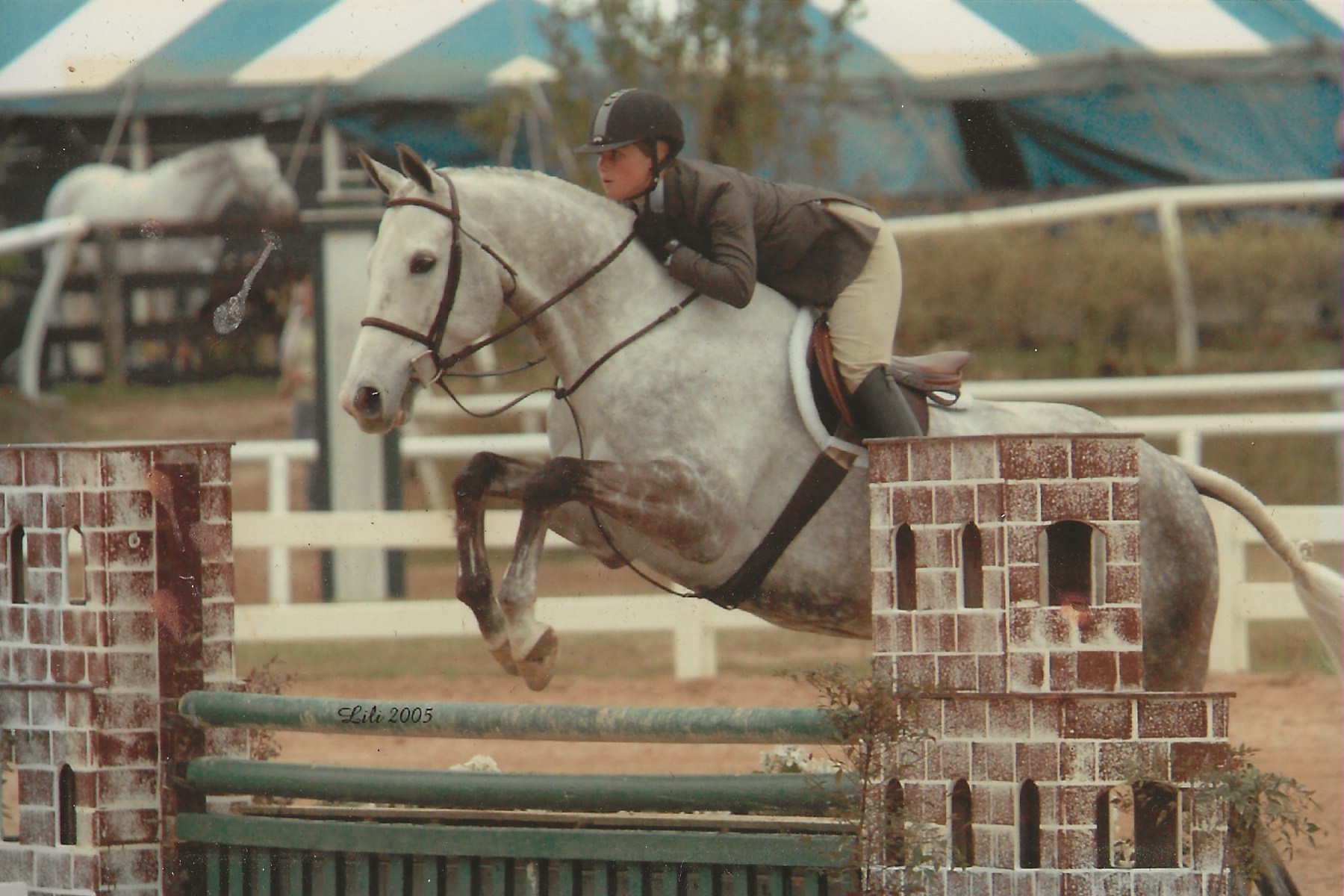 Collegiate Equestrian: The Ride of Your Life - The Plaid Horse Magazine