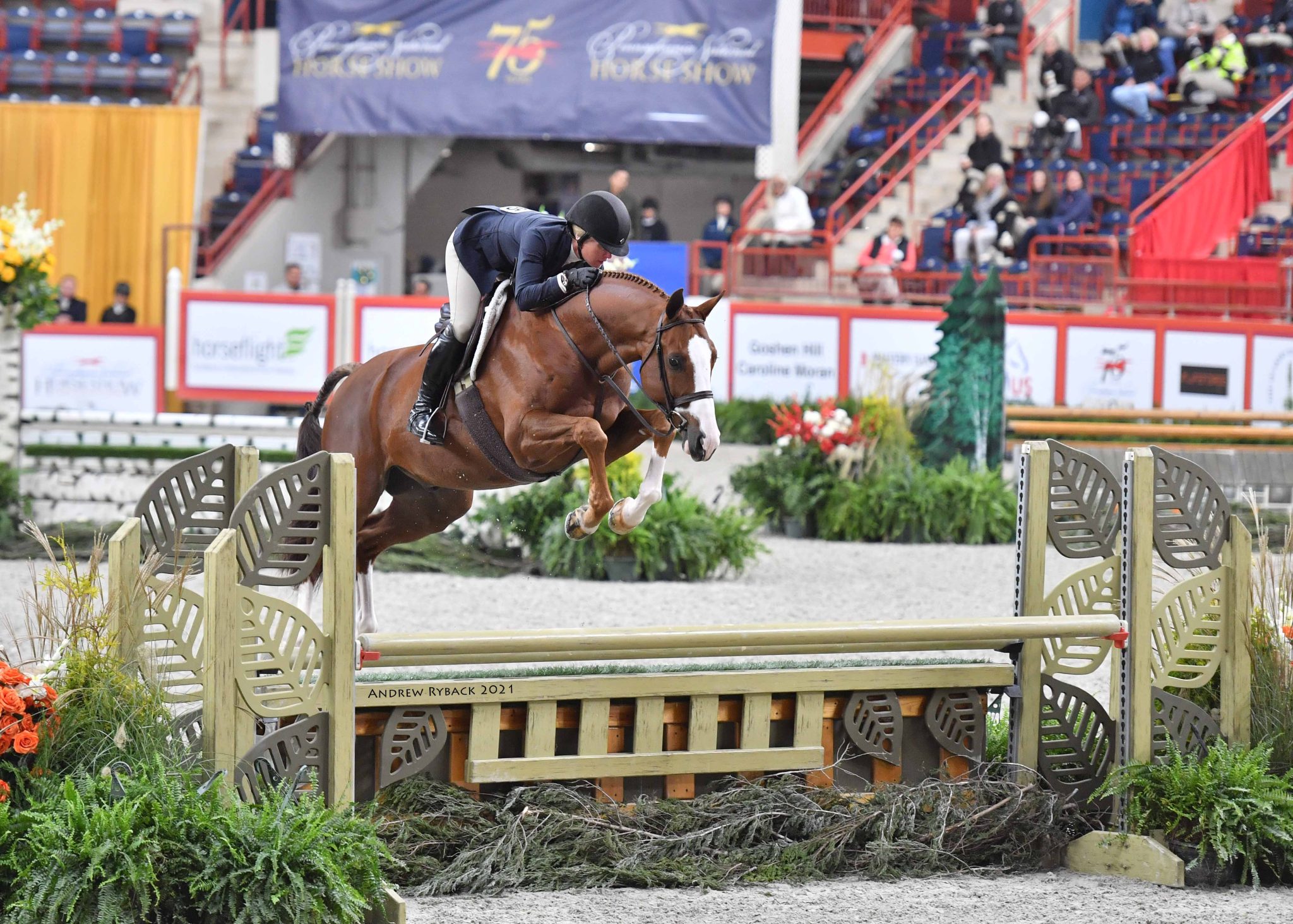 Collegiate Equestrian: The Ride of Your Life - The Plaid Horse Magazine