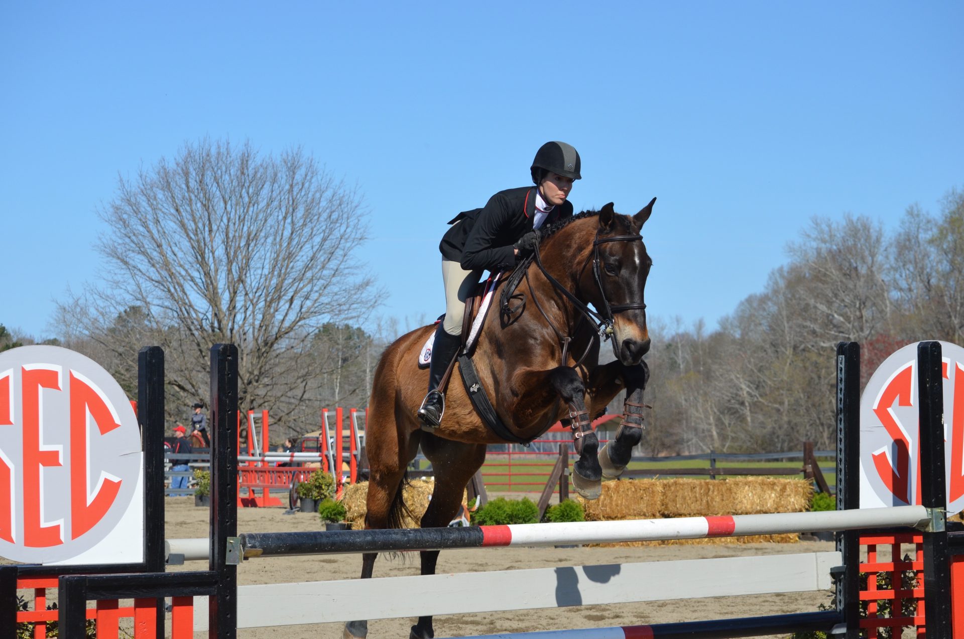 Collegiate Equestrian: The Ride of Your Life - The Plaid Horse Magazine