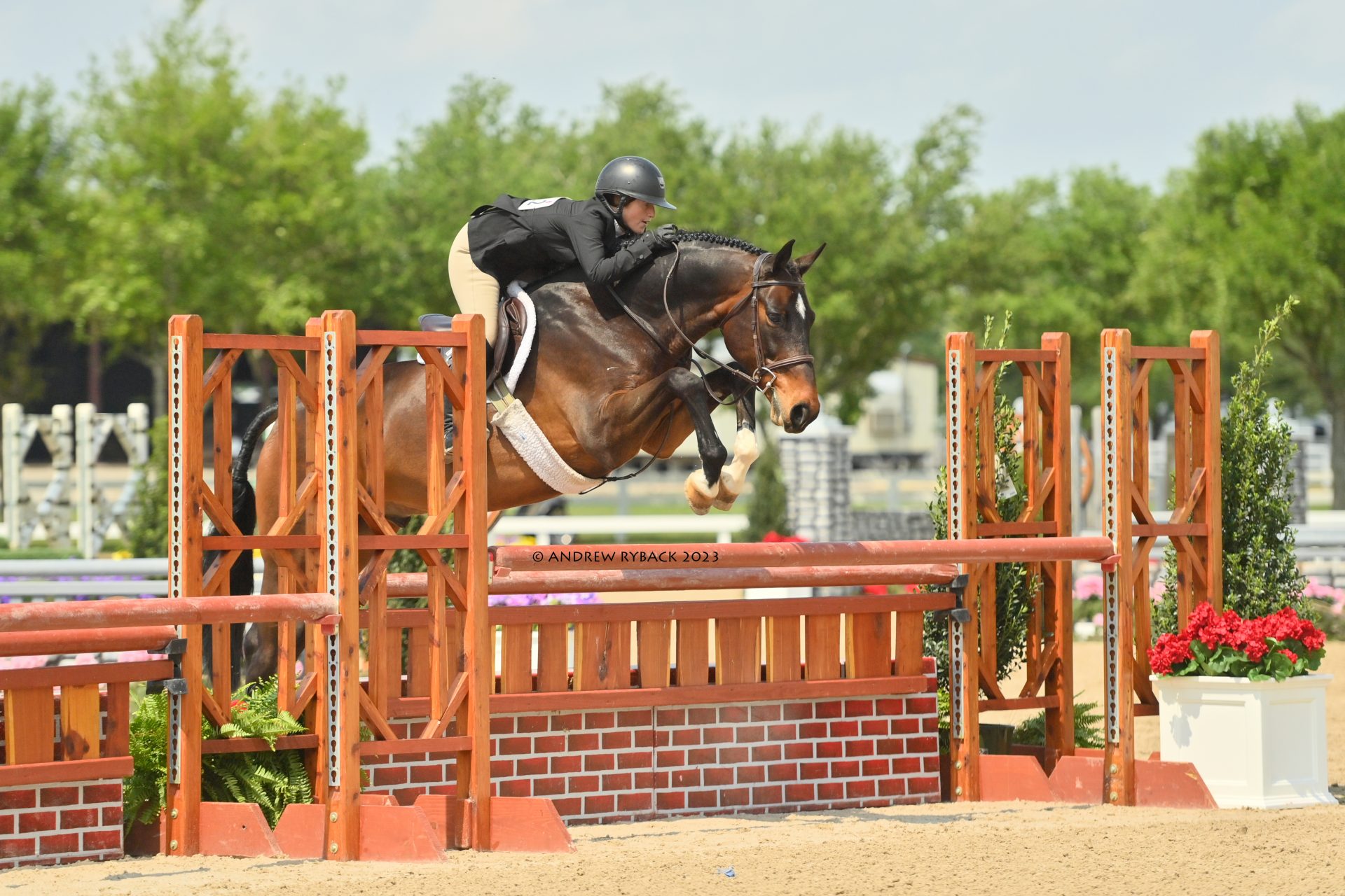 Nada Wise and Mindy Coretz Claim Hunter Derby Victories at Pin Oak ...