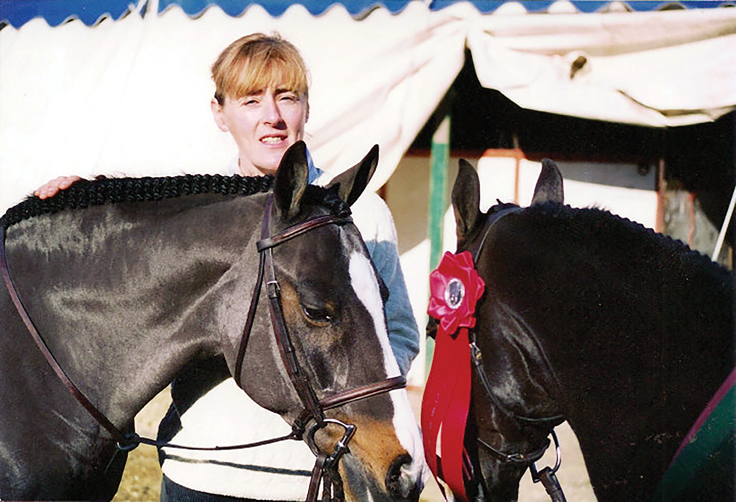 The Plaid Horse Questionnaire with: Siobhan Latchford - The Plaid Horse ...