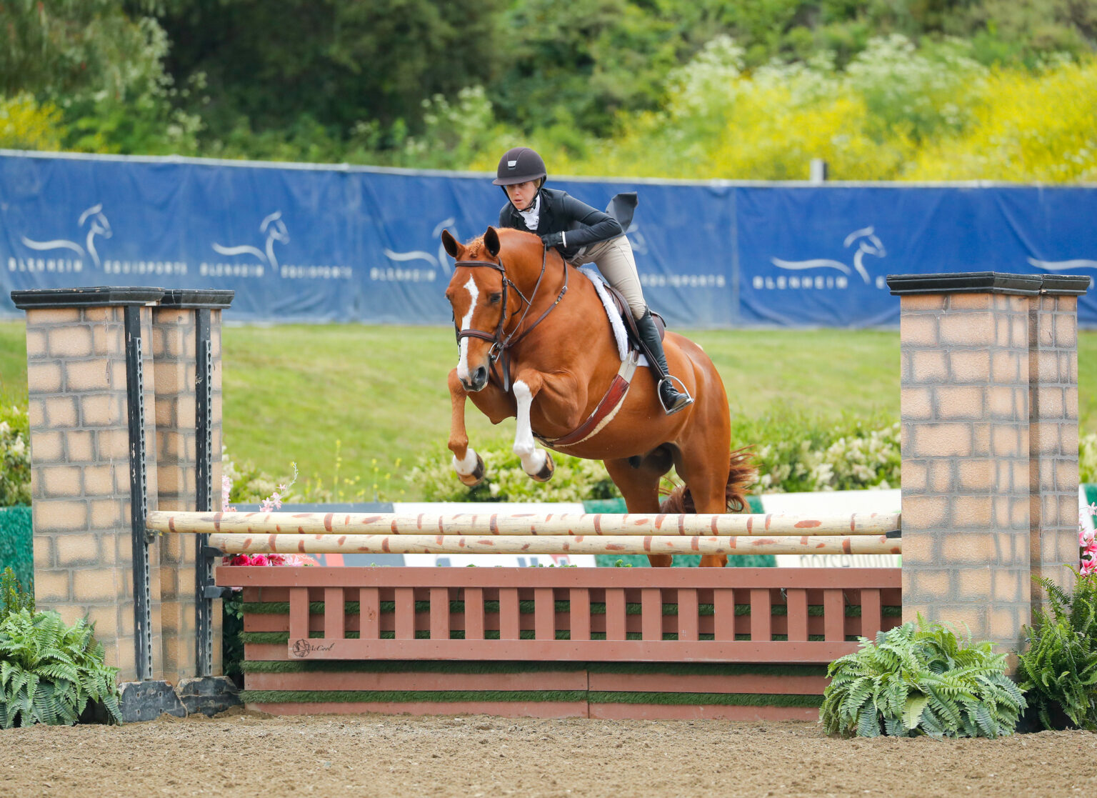 Karin Binz and Julia Rossow Ride to USHJA National Hunter Derby Wins at ...