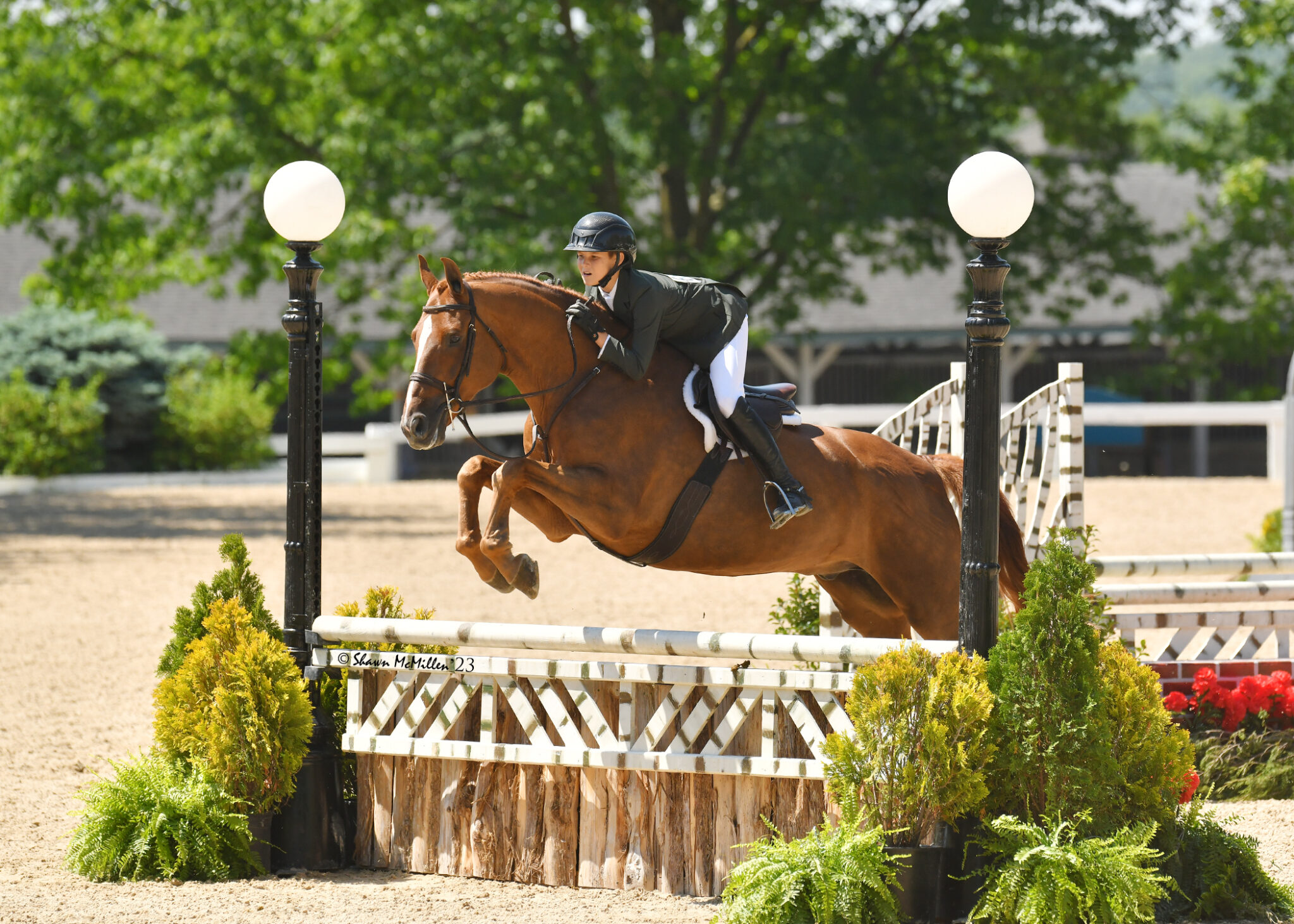 Collin Sweetnam and Coppertone Close Out Kentucky Horse Shows' Spring ...