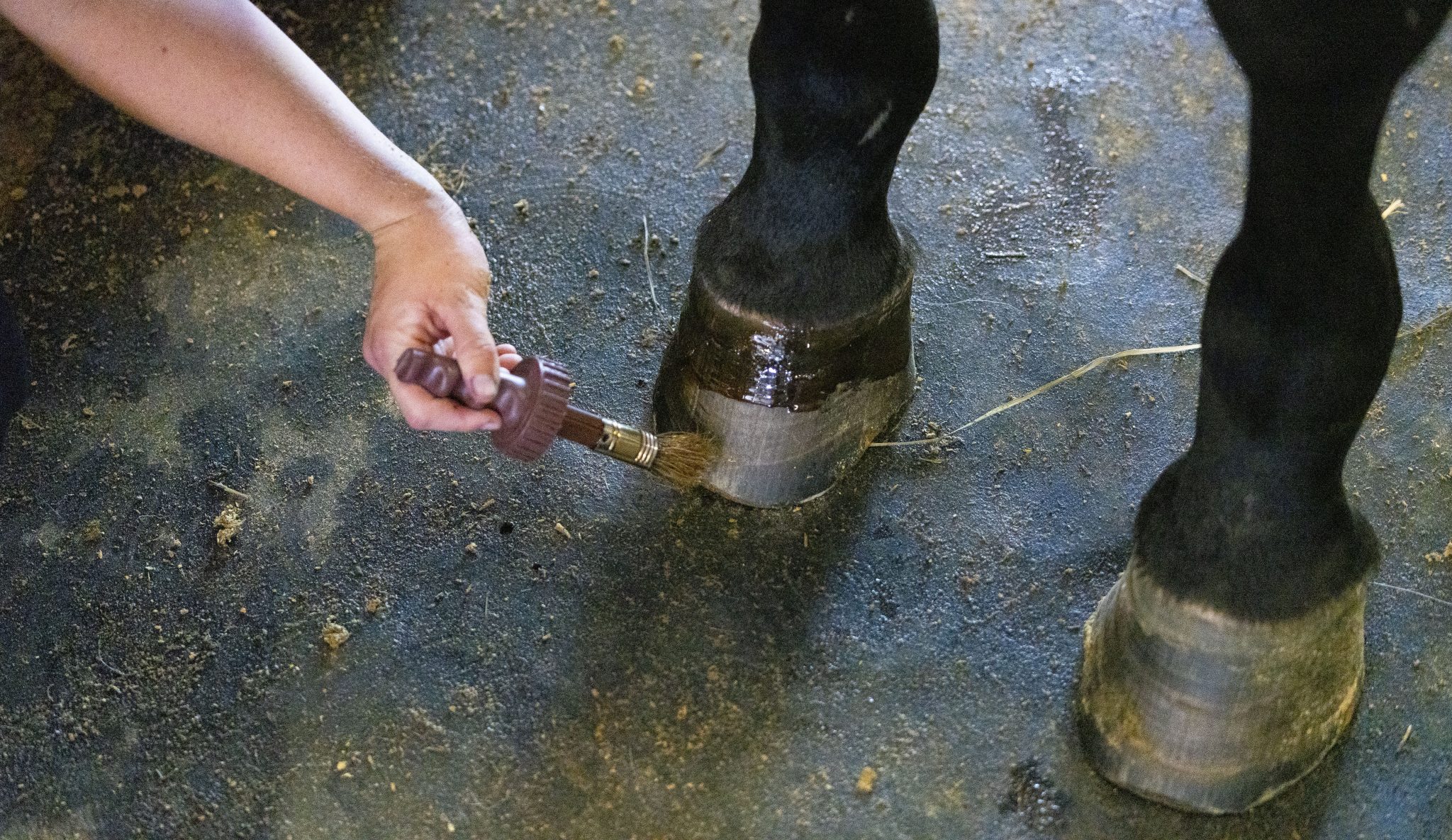 How Balanced Are You? - The Plaid Horse Magazine