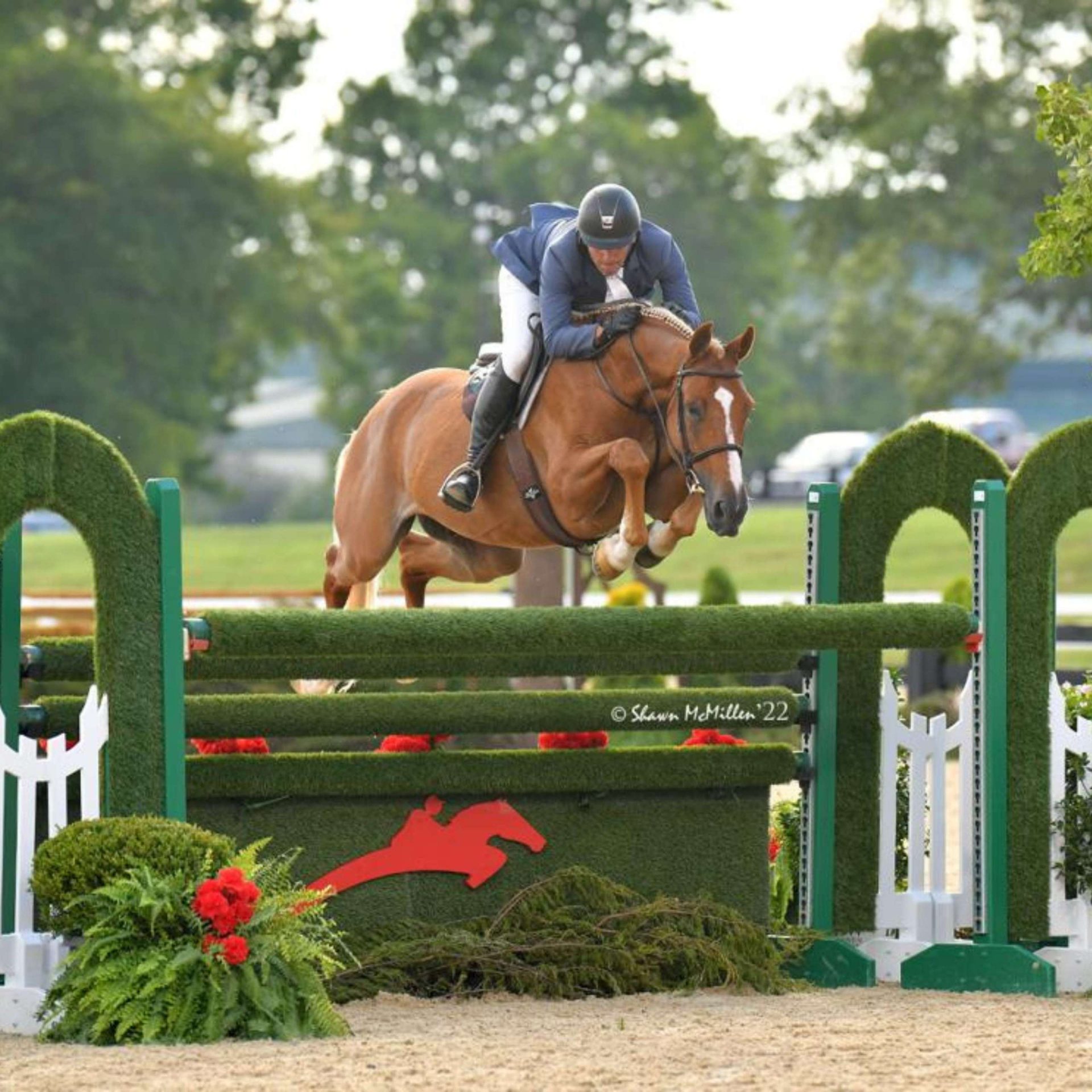 State of The Market: An Exciting Time in the Sport Horse Marketplace ...